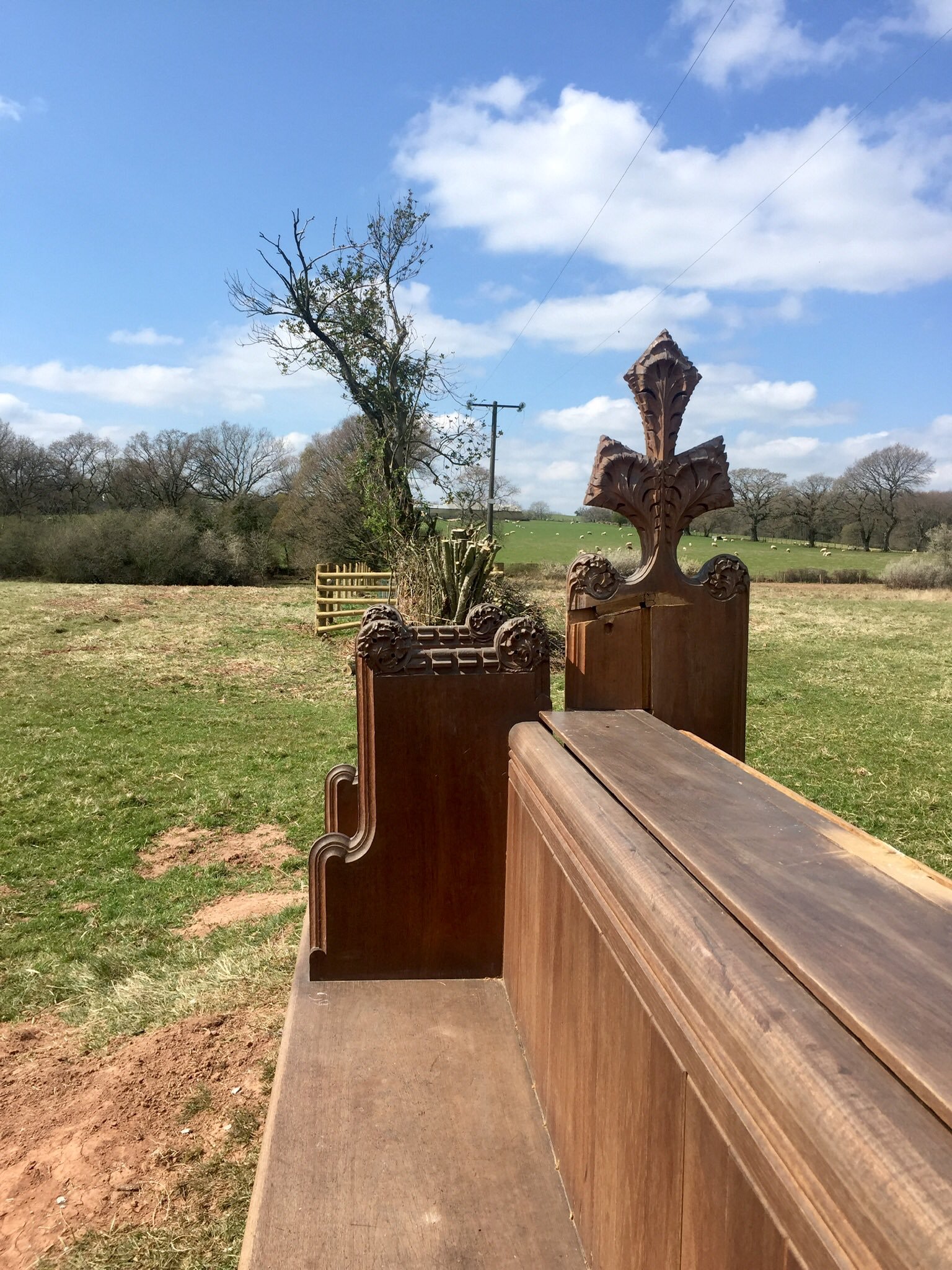 Trellech Wet Meadow – Monmouthshire Meadows Group